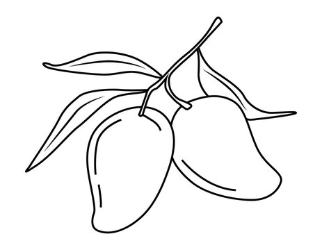 Mango Line Drawing Images – Browse 6,963 Stock Photos, Vectors, and ...