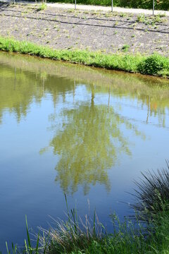 Stausse Bilder – Durchsuchen 40 Archivfotos, Vektorgrafiken und Videos ...