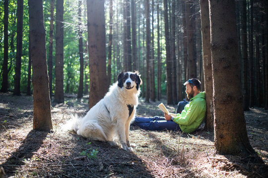 Dog Read Book Images – Browse 17,707 Stock Photos, Vectors, and Video ...