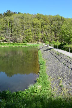 Stausse Bilder – Durchsuchen 40 Archivfotos, Vektorgrafiken und Videos ...