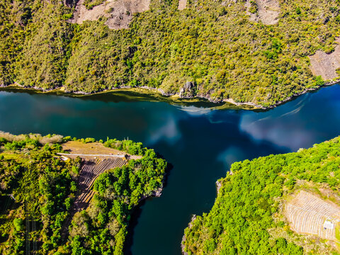 Sil Images – Browse 3,186 Stock Photos, Vectors, and Video | Adobe Stock