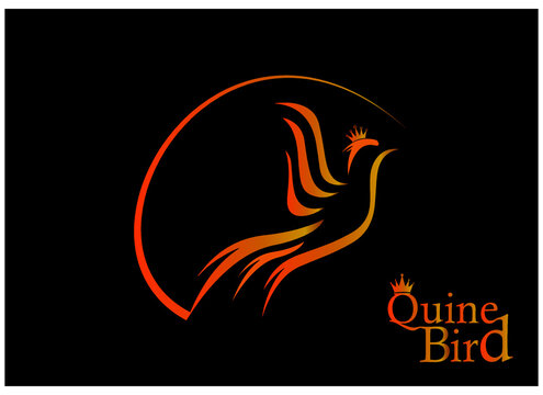 211 MEILLEURES Quine IMAGES, PHOTOS ET ILLUSTRATIONS VECTORIELLES STOCK ...