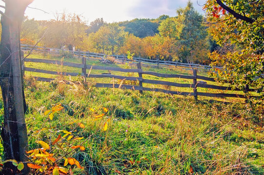 รูปภาพSeasom – เลือกดูภาพถ่ายสต็อก เวกเตอร์ และวิดีโอ364 | Adobe Stock