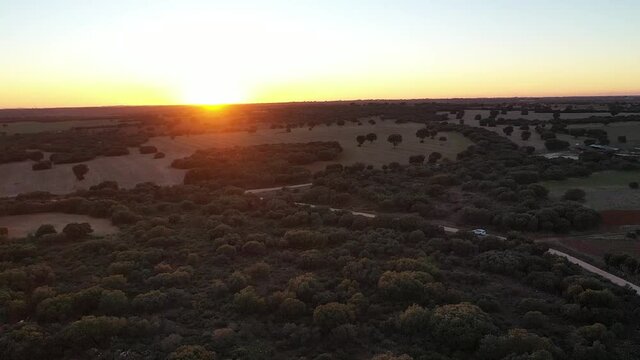Labriego bilder – Bläddra bland 49 stockfoton, vektorer och videor ...