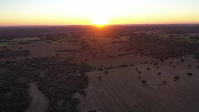 Labriego bilder – Bläddra bland 49 stockfoton, vektorer och videor ...