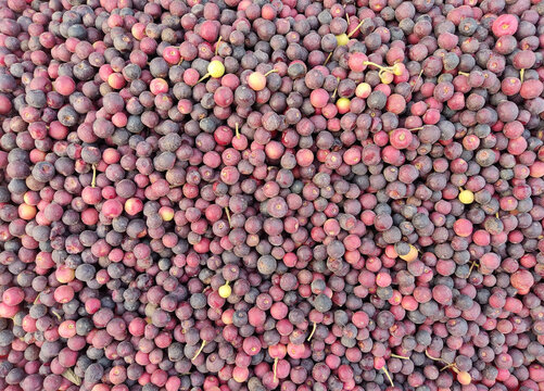 Falsa Images – Browse 588 Stock Photos, Vectors, and Video | Adobe Stock