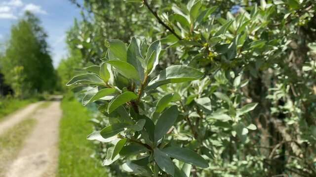 Outgoing Images – Parcourir 21,717 le catalogue de photos, vecteurs et ...