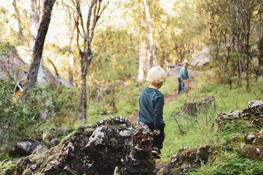 รูปภาพBushwalking – เลือกดูภาพถ่ายสต็อก เวกเตอร์ และวิดีโอ2,846 | Adobe ...