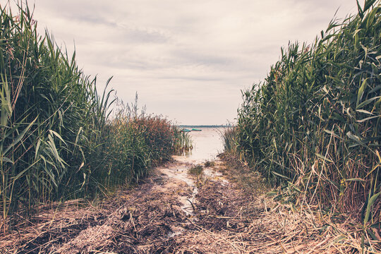 Sumpfig Bilder – Durchsuchen 1,054 Archivfotos, Vektorgrafiken und ...