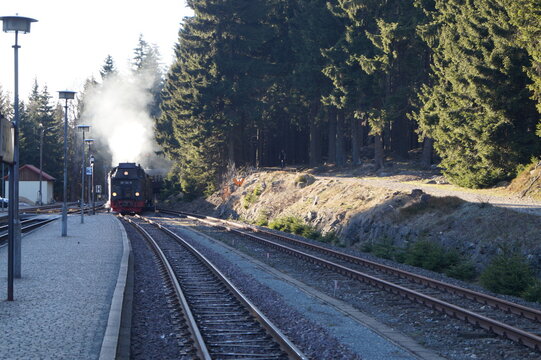 Dampflock Images – Parcourir 503 le catalogue de photos, vecteurs et ...