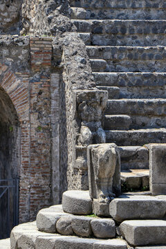 Tectum Images – Browse 60 Stock Photos, Vectors, and Video | Adobe Stock