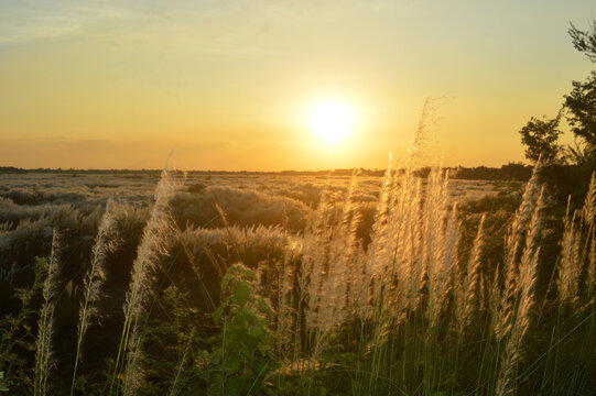 Kashful Images – Browse 246 Stock Photos, Vectors, and Video | Adobe Stock