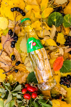 7-Up Images – Browse 19 Stock Photos, Vectors, and Video | Adobe Stock