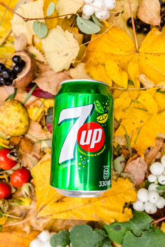 7-Up Images – Browse 19 Stock Photos, Vectors, and Video | Adobe Stock