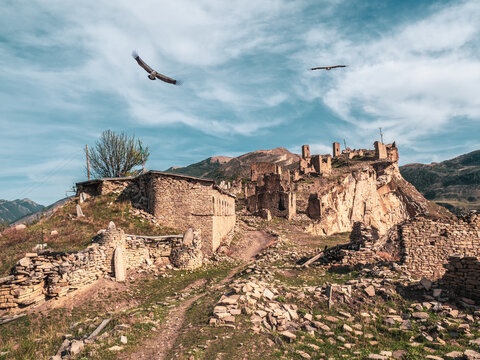 รูปภาพAuls – เลือกดูภาพถ่ายสต็อก เวกเตอร์ และวิดีโอ2,189 | Adobe Stock