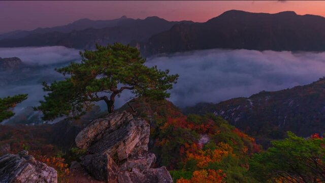 รูปภาพChungcheongbuk-Do – เลือกดูภาพถ่ายสต็อก เวกเตอร์ และวิดีโอ270 ...