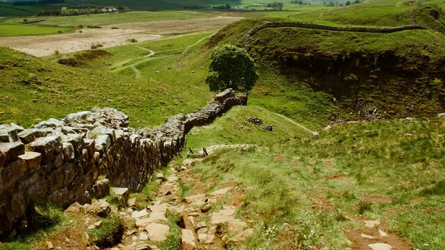 "Sycamore Gap" Images – Browse 305 Stock Photos, Vectors, and Video ...