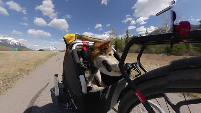 Dor Images – Browse 8,679 Stock Photos, Vectors, and Video | Adobe Stock