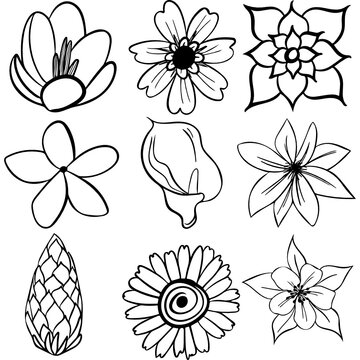 "Flower Doodle" Images – Browse 4,029 Stock Photos, Vectors, and Video ...