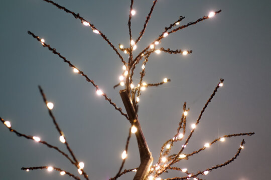 Designerlampe Images – Browse 81 Stock Photos, Vectors, and Video ...