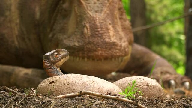 Dinosaur Hatching Images – Browse 2,045 Stock Photos, Vectors, and ...