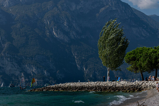 Flix photos, images, assets | Adobe Stock