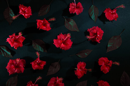 Chembarathi Images – Browse 35 Stock Photos, Vectors, and Video | Adobe ...