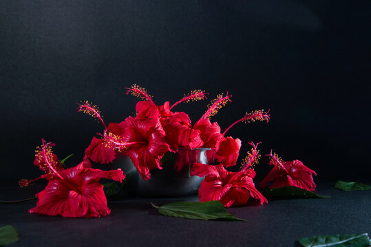 Chembarathi Images – Browse 35 Stock Photos, Vectors, and Video | Adobe ...