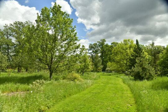 「Tondu」の画像 - 249 件の Stock 写真、ベクターおよびビデオ | Adobe Stock