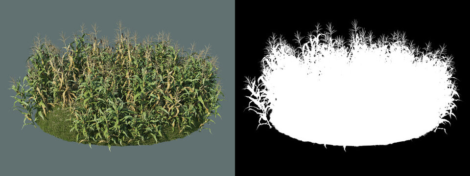 Intercropping Images – Browse 327 Stock Photos, Vectors, and Video ...