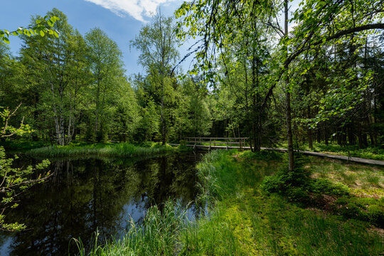 Slavkovsky Images – Browse 516 Stock Photos, Vectors, and Video | Adobe ...