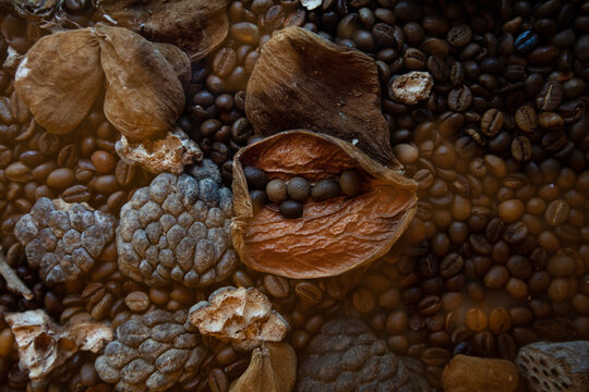 Tryptophobia Images – Browse 73 Stock Photos, Vectors, and Video ...