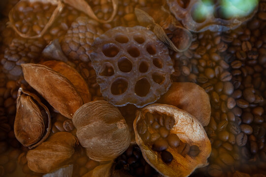 Tryptophobia Images – Browse 73 Stock Photos, Vectors, and Video ...