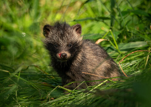 รูปภาพFretka – เลือกดูภาพถ่ายสต็อก เวกเตอร์ และวิดีโอ232 | Adobe Stock