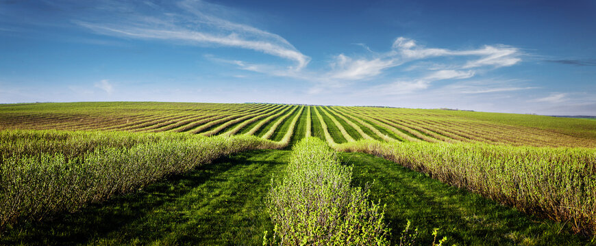 1,179,670 BEST Farmlands IMAGES, STOCK PHOTOS & VECTORS | Adobe Stock