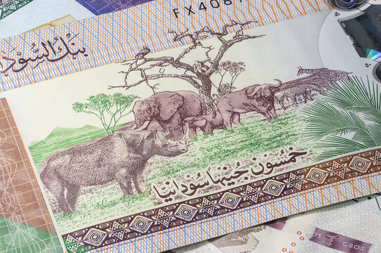 Imágenes de "Arabic Money": descubre bancos de fotos, ilustraciones ...