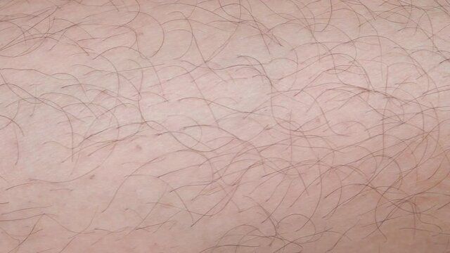 "Short Hairs" Bilder – Durchsuchen 685 Archivfotos, Vektorgrafiken und ...