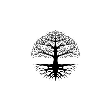 Infinity Tree Logo Images – Browse 9,623 Stock Photos, Vectors, and ...