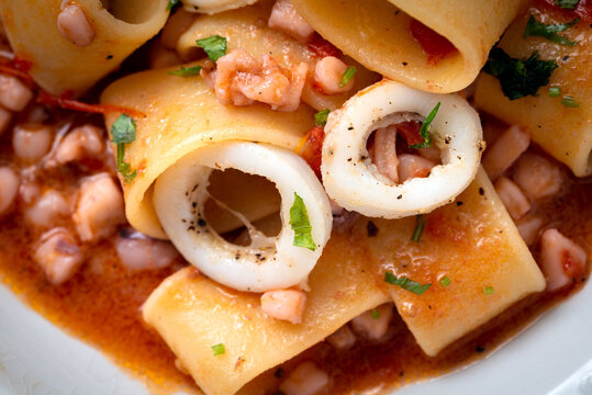 Calamarata bilder – Bläddra bland 324 stockfoton, vektorer och videor ...