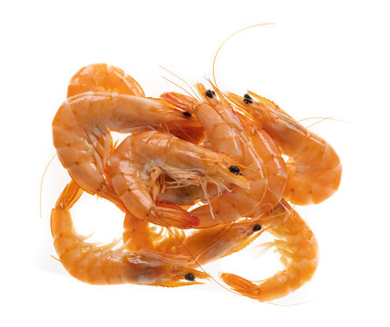 Crevettes Images – Browse 762,823 Stock Photos, Vectors, and Video ...