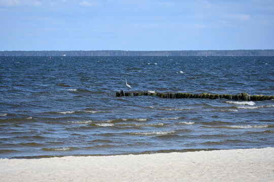 「Haffbad」の写真素材 | 139件の無料イラスト画像 | Adobe Stock