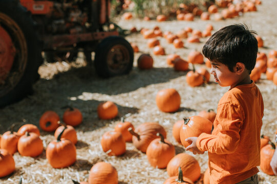1,791,238 BEST October IMAGES, STOCK PHOTOS & VECTORS | Adobe Stock