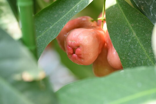 รูปภาพJamalac – เลือกดูภาพถ่ายสต็อก เวกเตอร์ และวิดีโอ2,352 | Adobe Stock