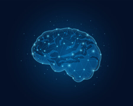 Free Brain Images – Browse 6,288 Free Stock Photos, Vectors, and Video ...