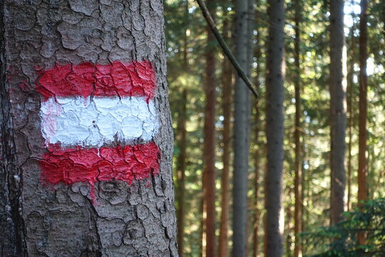 รูปภาพFelse – เลือกดูภาพถ่ายสต็อก เวกเตอร์ และวิดีโอ290 | Adobe Stock