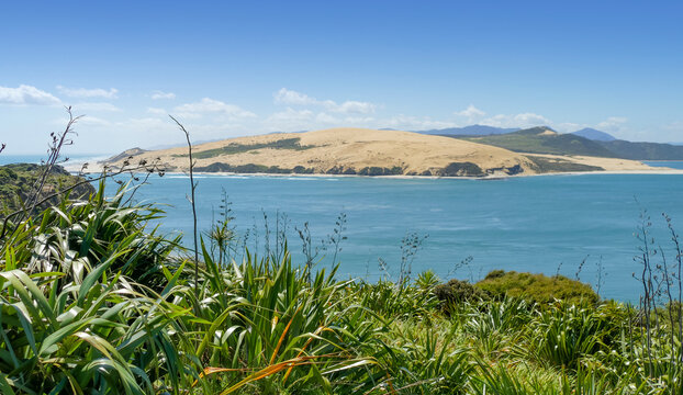 Opononi Images – Browse 281 Stock Photos, Vectors, and Video | Adobe Stock