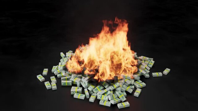 Money Burning Gif