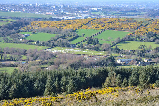 Ballycorus Bilder – Durchsuchen 106 Archivfotos, Vektorgrafiken und ...