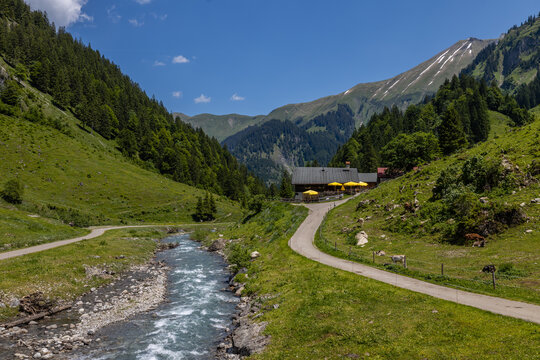 「Alpental」の画像 - 1,009 件の Stock 写真、ベクターおよびビデオ | Adobe Stock