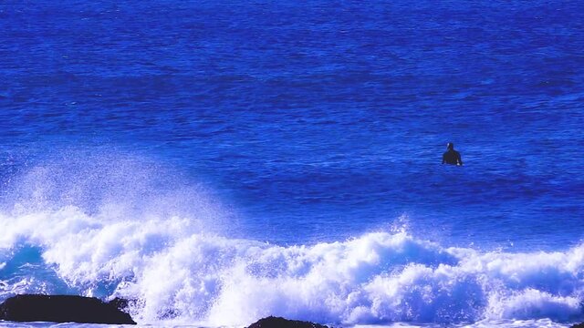 Hii Images – Browse 100 Stock Photos, Vectors, and Video | Adobe Stock